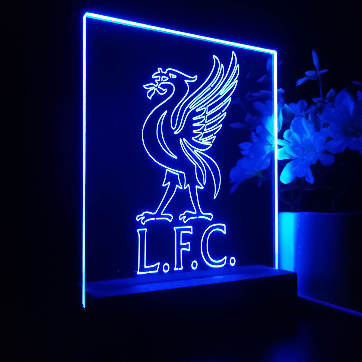 Liverpool F.C. 3D LED Optical Illusion Sport Team Night Light ...