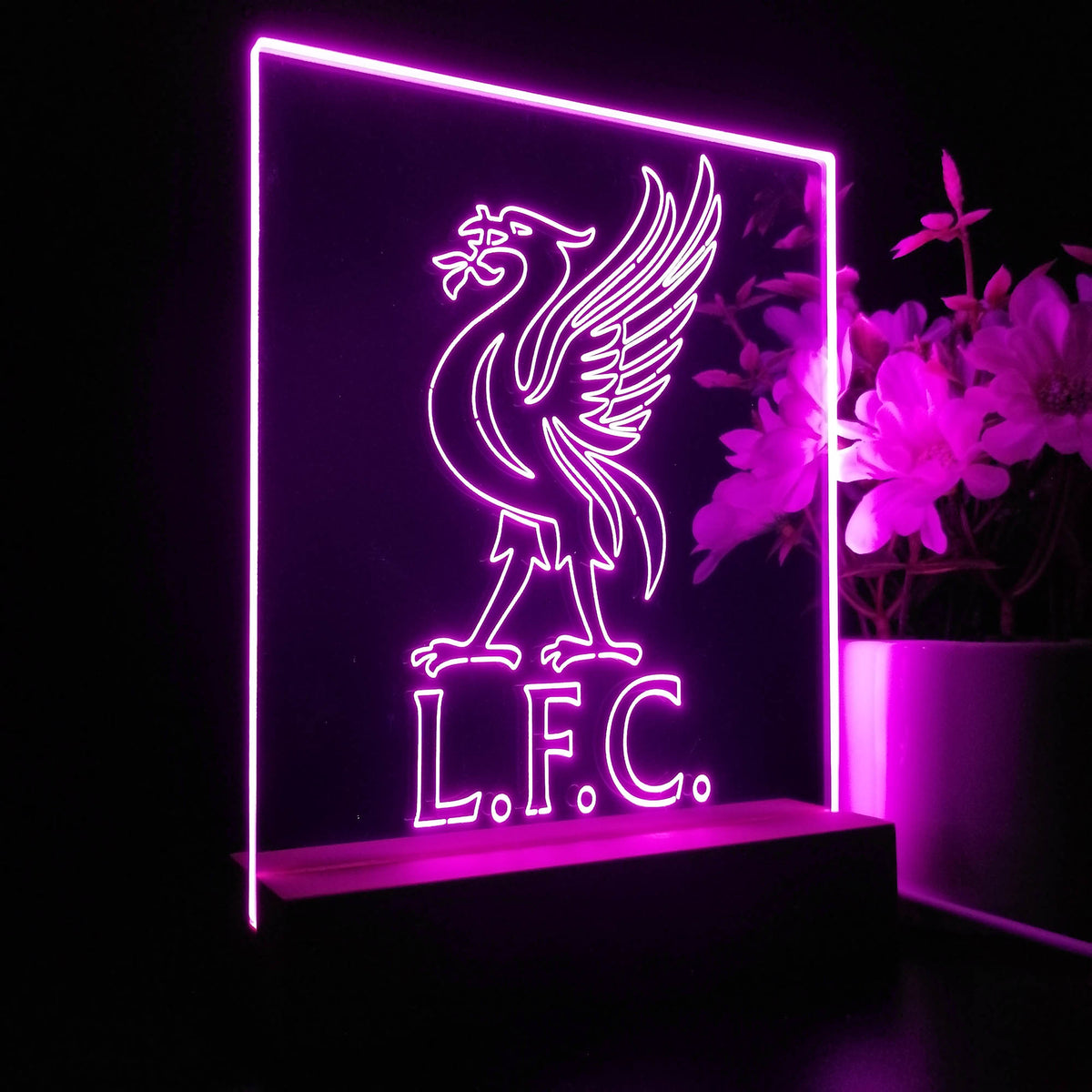 Liverpool F.C. 3D LED Optical Illusion Sport Team Night Light ...